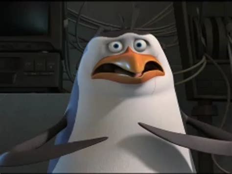 Rico The Penguin Ricothe Penguins Of Madagascar Photo 16549193