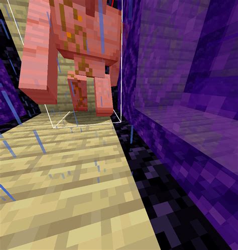 Hitboxes And Portals Bug Game Version Is 1 19 2 Issue 387