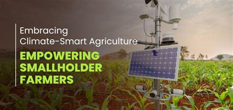 Embracing Climate Smart Agriculture For Empowering Smallholder Farmers