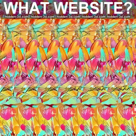 Stereogram By Dimka Guess The Website Tags Read Face Book Facebook Hidden D Picture SIRDS