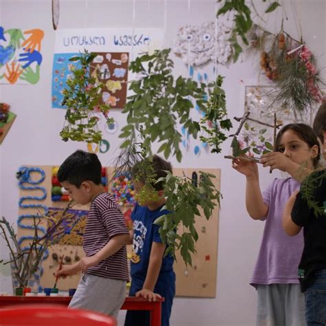 მწვანე სკოლა დიდი დიღომი მწვანე სკოლა დიდი დიღომი