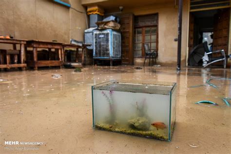 Mehr News Agency Devastating Flash Flood In Darwazeh Quran Shiraz