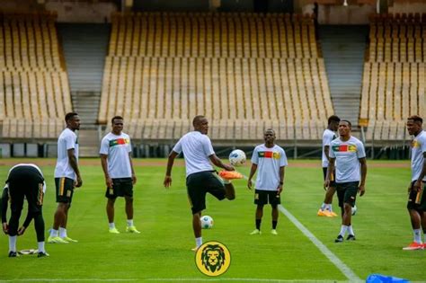Cameroun Vs Cap Vert Séance d entrainement des lions indomptables