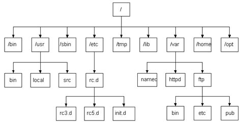 Linux下基本指令nano和touch的区别 Linux Csdn博客