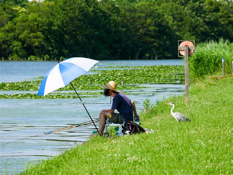 くそ暑い はじめ写真撮る人及びnoteで文章書く人