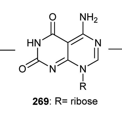 The Structures Of The Two Probable Monomeric Conformers As Base Pair