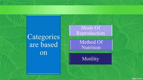 Protozoa Taxonomy Features And Classifications Ppt