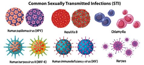 Common Sexually Transmitted Infections Sti Vector Image