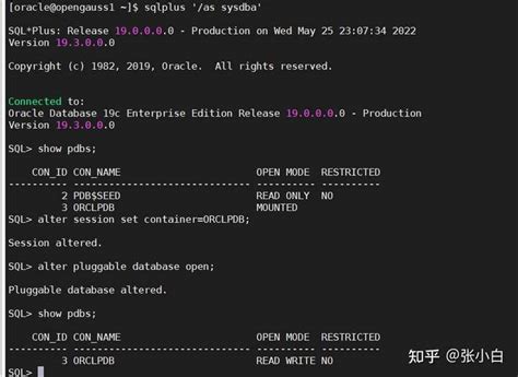 张小白教你使用ogg实现oracle 19c到mysql 57的数据同步 墨天轮