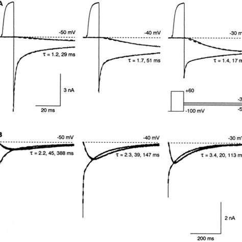 Exponential Fits To Tail Currents Records Are From Fig 1 B On An