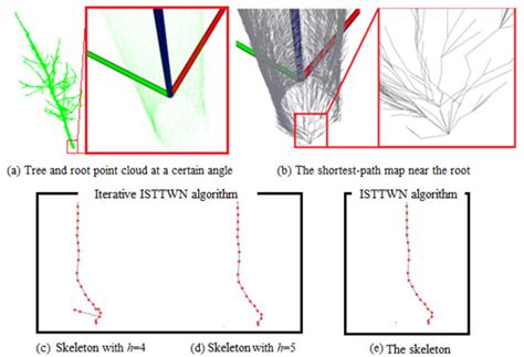 A Novel Algorithm Based On Geometric Characteristics For Tree Branch Skeleton Extraction From