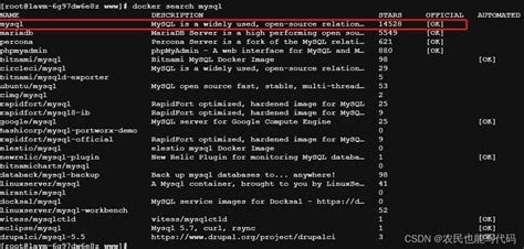 Docker 部署 Mysql Csdn博客
