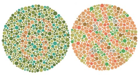 What Is Color Perception