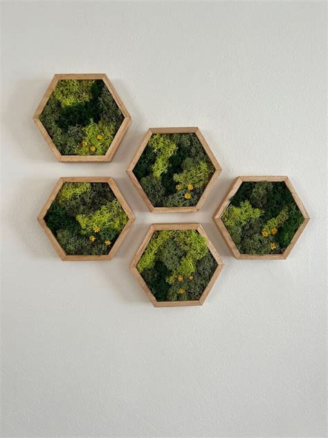 Moss Wall Art Preserved Moss Wall Decor Honeycomb Moss Art Set Of One