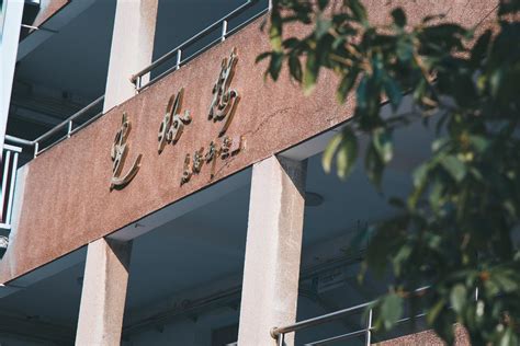 高中招生，你问我答！湖北省武汉市十四中学招办负责人本周二晚在线答疑 极目新闻
