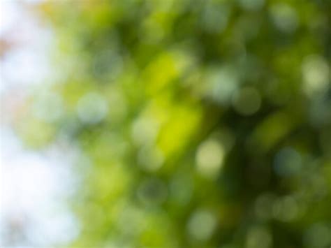 Premium Photo Green Bokeh On Nature Abstract Blur Background Green