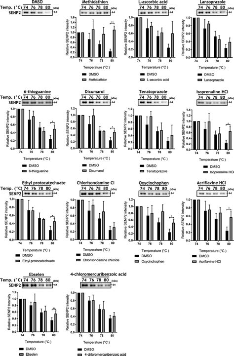 Cellular Thermal Shift Assay For Target Engagement With Senp2 Thirteen