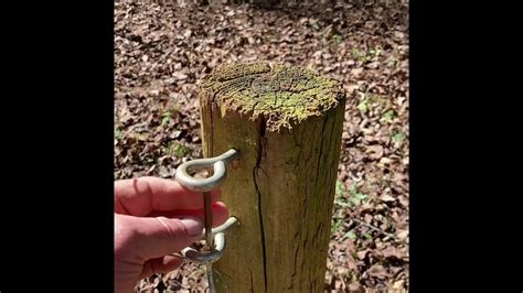 New Hog Trap And Trigger Design Youtube