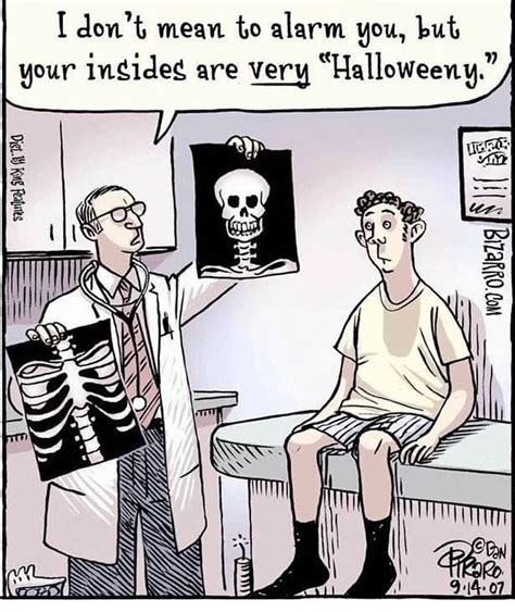 🔥 50 Ninjette Wallpapers Wallpapersafari