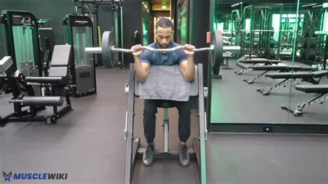 Musclewiki Ez Bar Reverse Preacher Curl Biceps