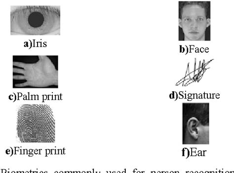 Figure 1 From Hand Vein Infrared Image Segmentation For Biometric