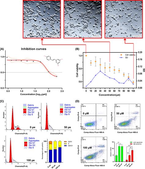 Resveratrol Inhibited The Proliferation Of Mcf‐7 Cells A Growth