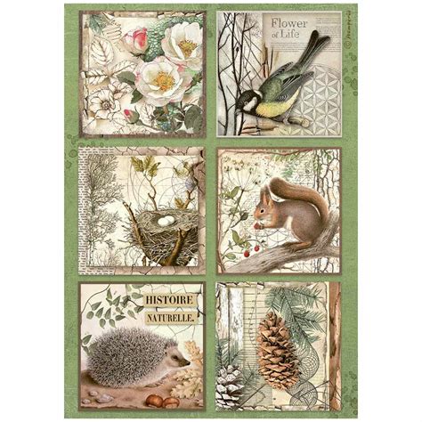 Feuille De Riz Stampéria Format A4 Forest Horizon Creatif