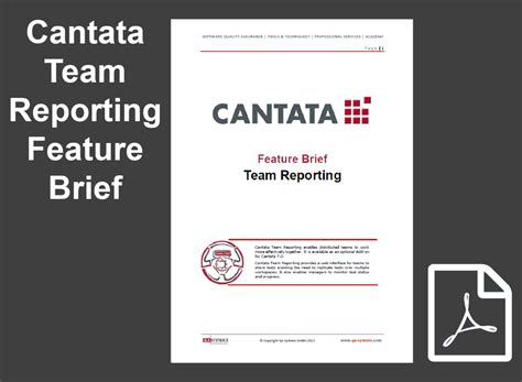cantata team reporting qa systems