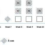 Learning Activities Of The Project Based Blended Learning Course Download Scientific Diagram