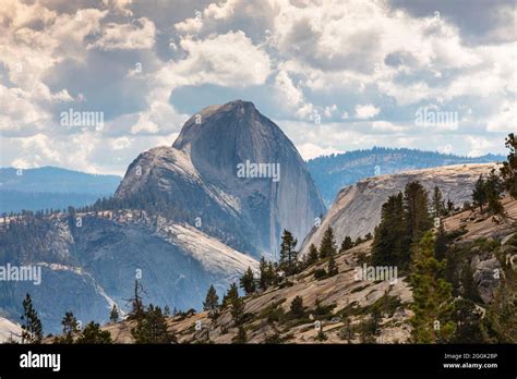 View From Olmsted Point To Half Dome Yosemite National Park