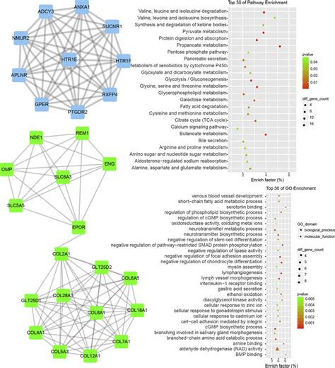 Construction Of Differently Expressed Mrnas Mediated Ppi Network In Gc