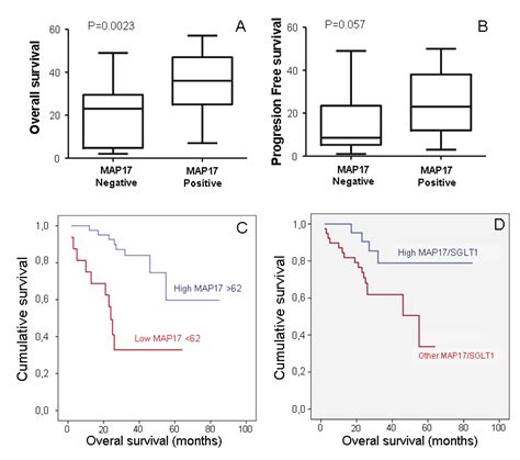 Map17 Alone Or In Combination With Sglt1 Are Good Independent Markers
