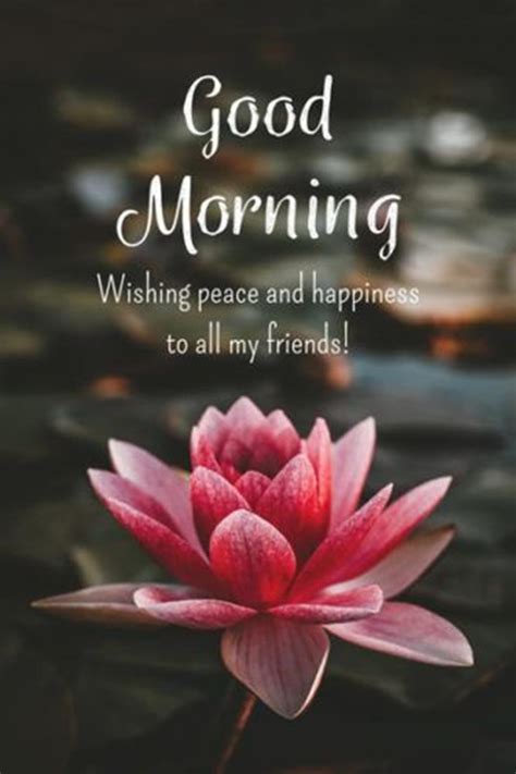 Good Morning Images For Friend In English Infoupdate Org