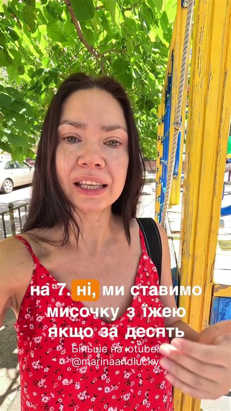 собака кінолог собачежиття дресируваннясобак Youtube