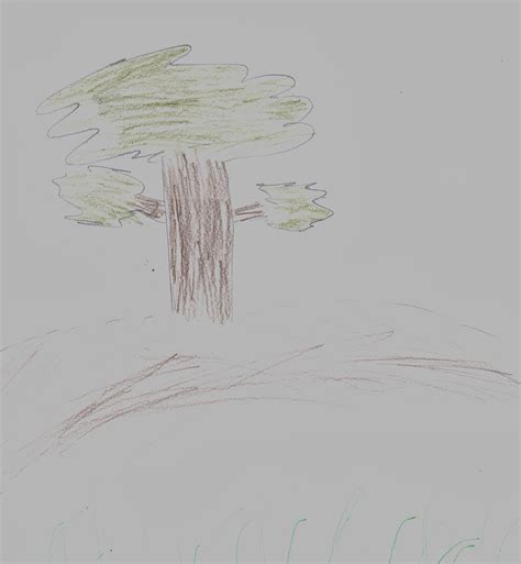 Lescola Del Bosc