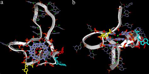 The Constructed Model Of The Dna Quadruplex With Potassium Ions Shown