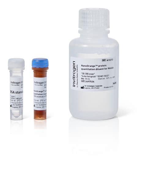 Invitrogen Bca Protein Assay Kit At Sarah Sepe Blog