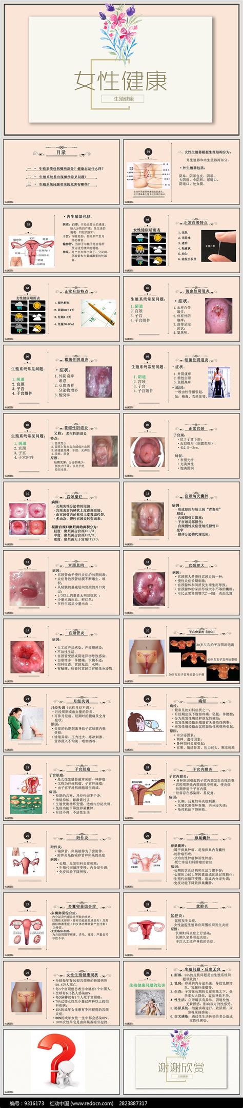 女性健康妇科病ppt模板下载红动中国