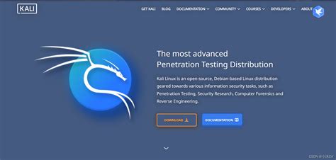 Kali——关于kali的下载与安装kali官网下载 Csdn博客