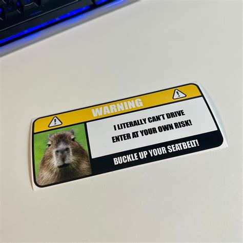 Capybara Warning Sticker Bumper Sticker Memes Car Accessories Cardecor