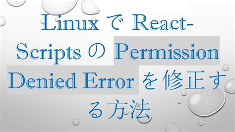 Linuxでreact Scriptsのpermission Denied Errorを修正する方法 Youtube