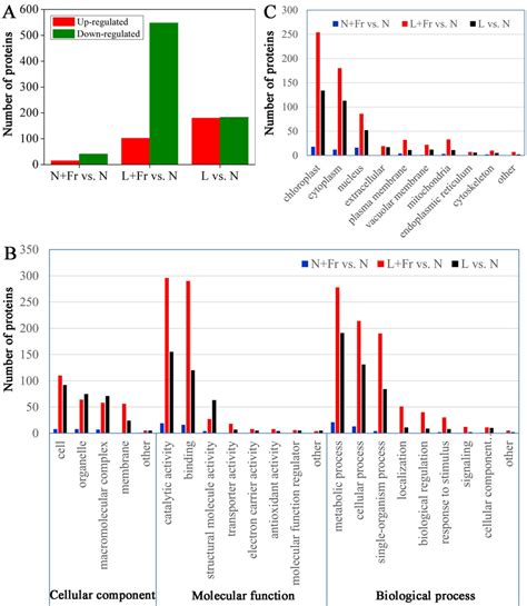 Light Response Curves Of Net Photosynthetic Rate A Light Saturation