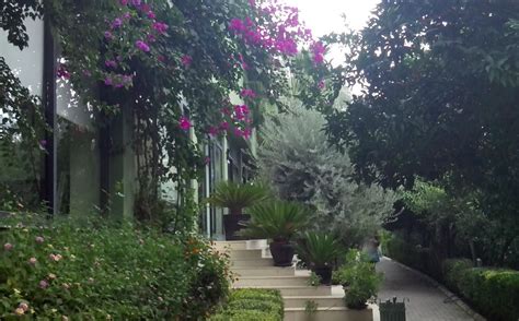 Larissa Hotel Beldibi Updated Prices Reviews And Photos