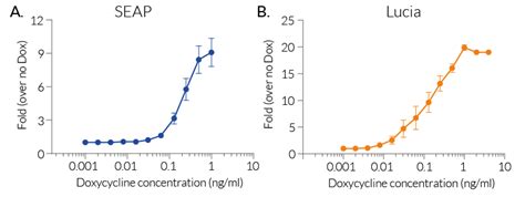 Doxycycline For Tet On Cell Lines Invivogen