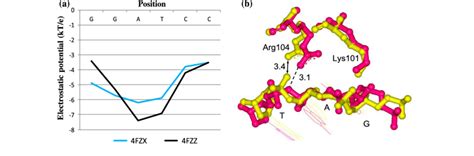 Complexes Of Exox Exonuclease With Two Dna Fragments A The