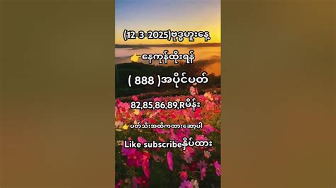 2d 12 3 2025 ဗုဒ္ဓဟူးနေ့ 👉 မနက် ညနေ ထိုးရန် Youtube