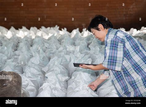 Asian Woman Smart Farmer Agriculturist Working At Fertilizer Composting