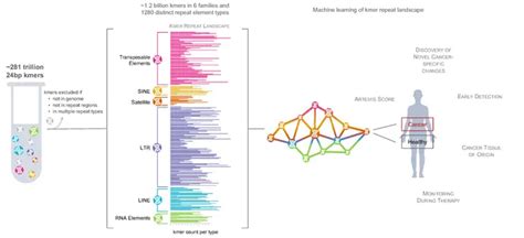 Ai Detects Cancer Via Dna Repeats In Liquid Biopsies
