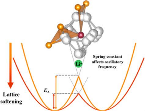 Influence Of Lattice Polarizability On The Ionic Conductivity In The Lithium Superionic