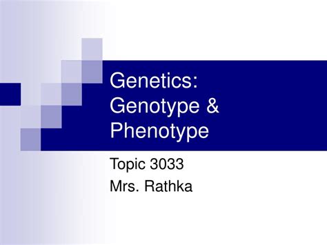 Ppt Genetics Genotype And Phenotype Powerpoint Presentation Free